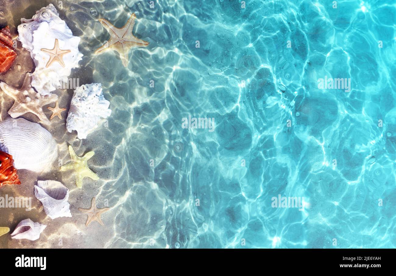 Starfish and seashells on the summer beach in sea water. Summer blue ...