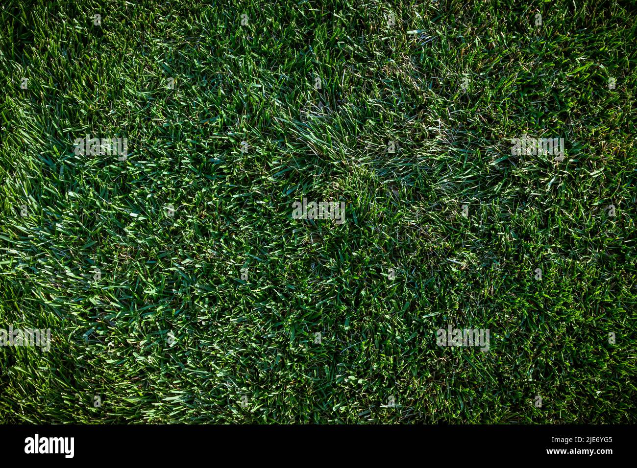 Overhead top view of green grass texture, yard, outdoor turf and grass ...
