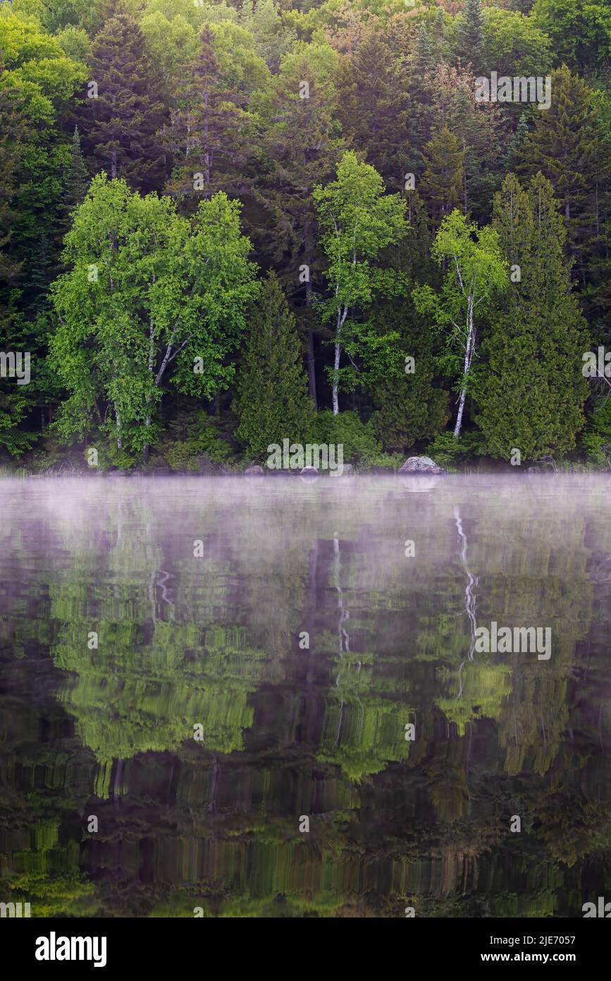 Canadian summer landscape in Laurentian mountains, Quebec Stock Photo ...