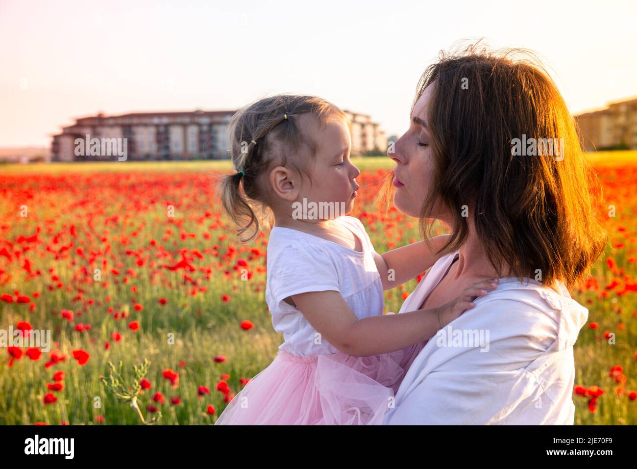 Mom and her little daughter in white clothes pose in a poppy field ...