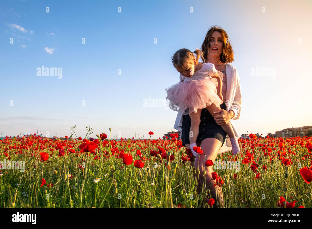 Daughter poppy hi-res stock photography and images - Alamy