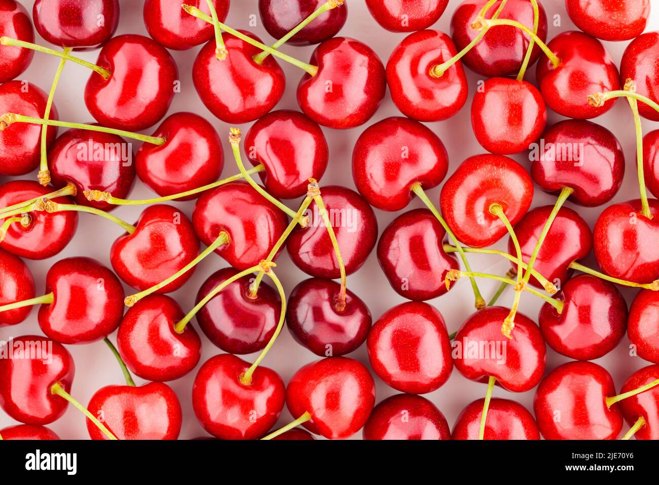 Red cherry background. Sweet cherries close-up. Fresh gathered cherries ...