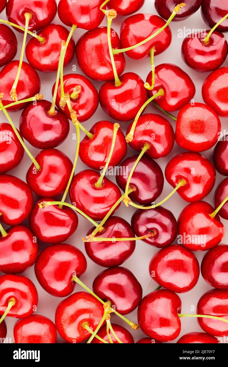 Red cherry background. Sweet cherries close-up. Fresh gathered cherries ...