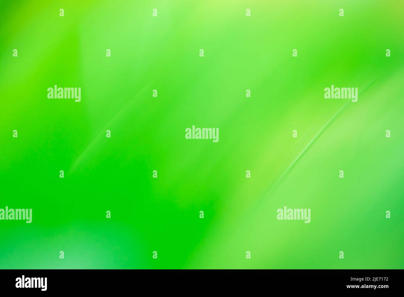 Blurry green color bokeh backdrop. Verdant teal color blurred ...