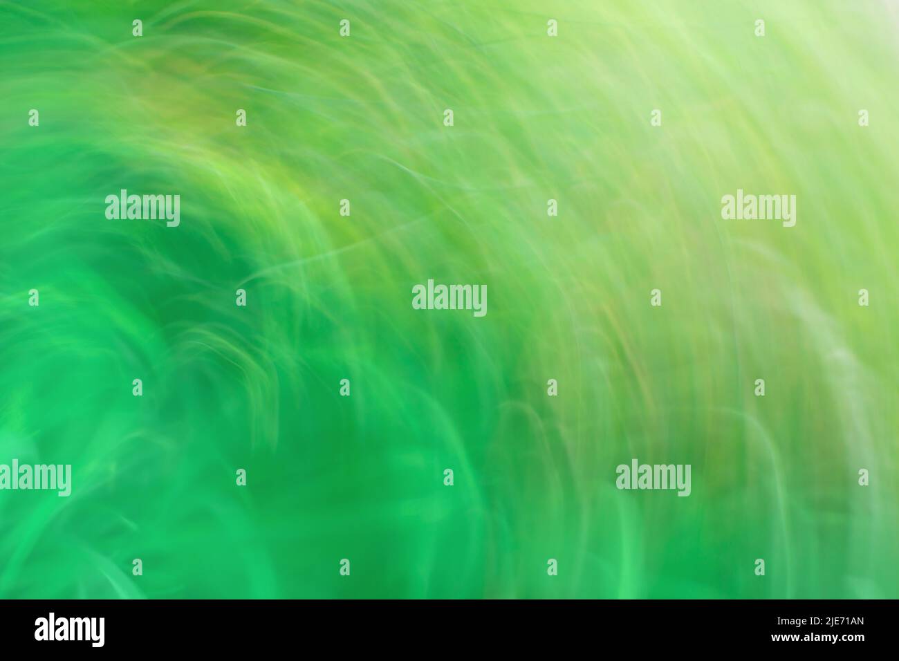 Amazing green nature in motion. Green and blue abstract defocused ...
