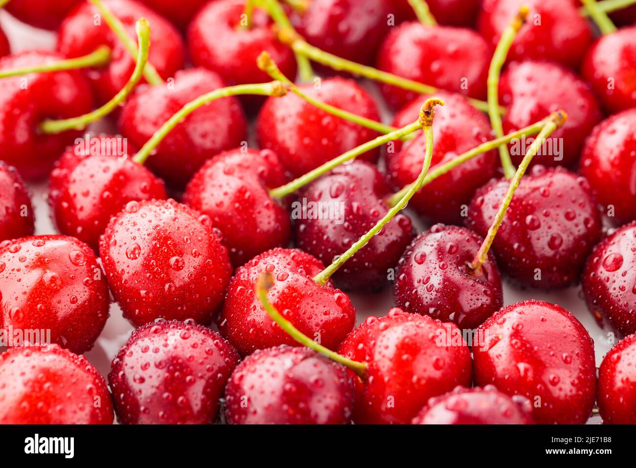 Red cherry close-up. Fresh cherries in water drops. Red berries for ...
