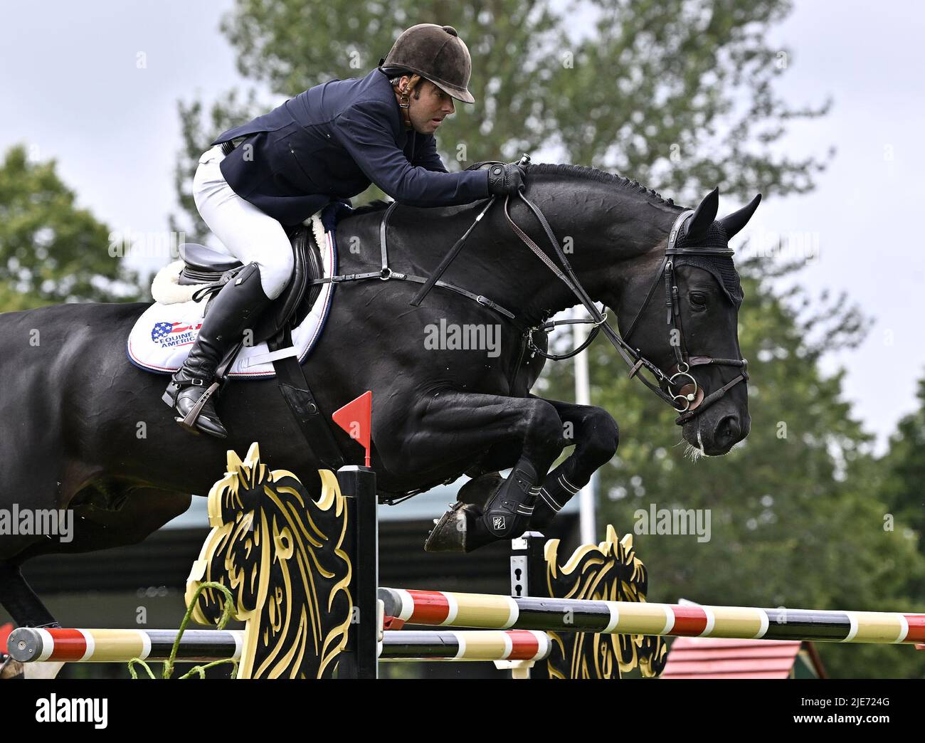 Horse vermento hi-res stock photography and images - Alamy