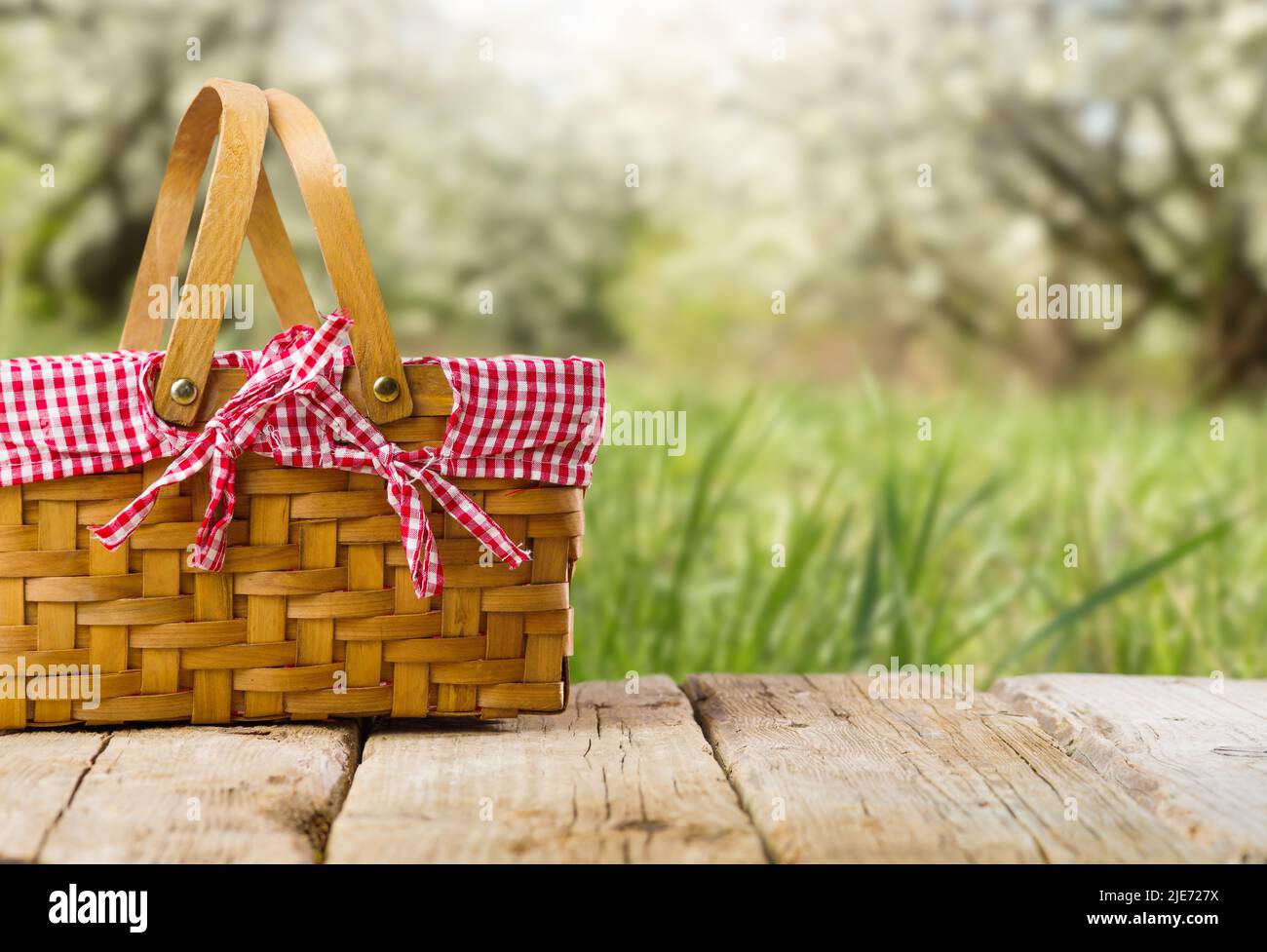 Summer vacation, picnic. Against the backdrop of picturesque summer ...