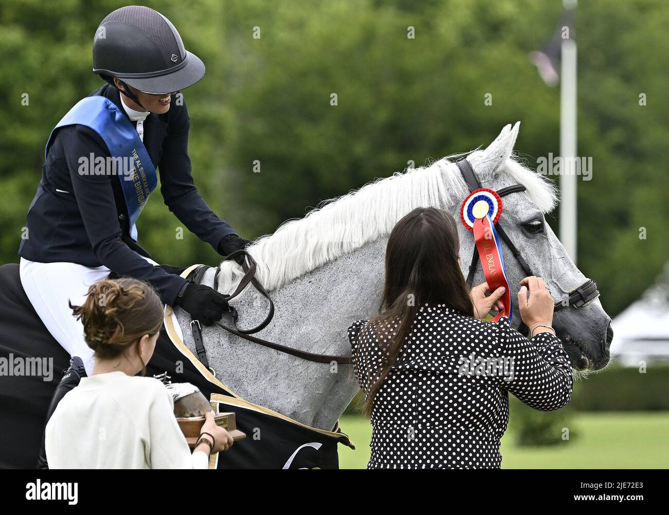 Rossette prize at show hi-res stock photography and images - Alamy