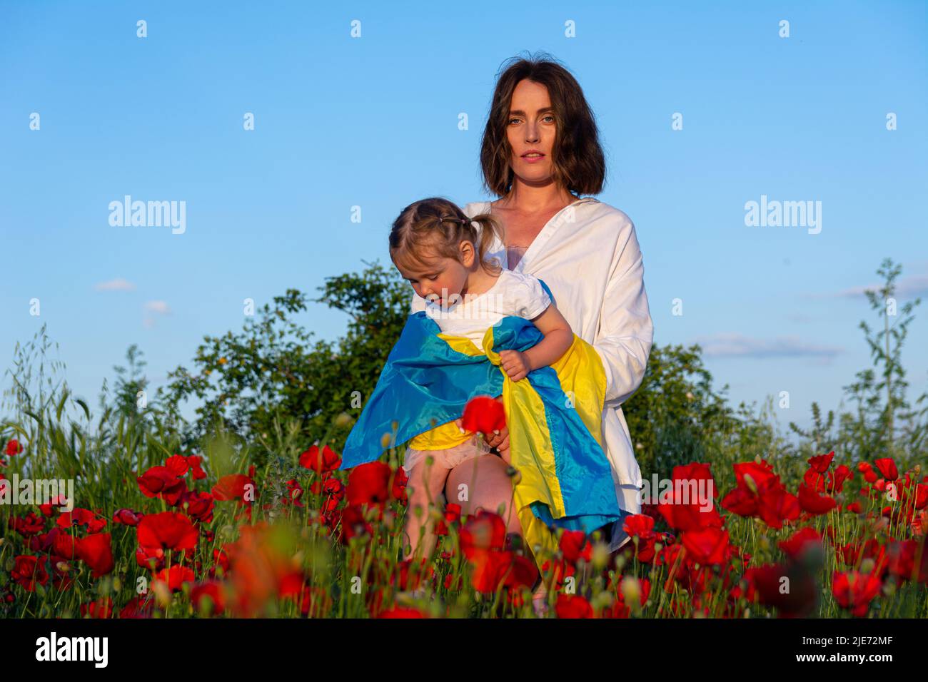 Mom and her little daughter in white clothes pose in a poppy field ...