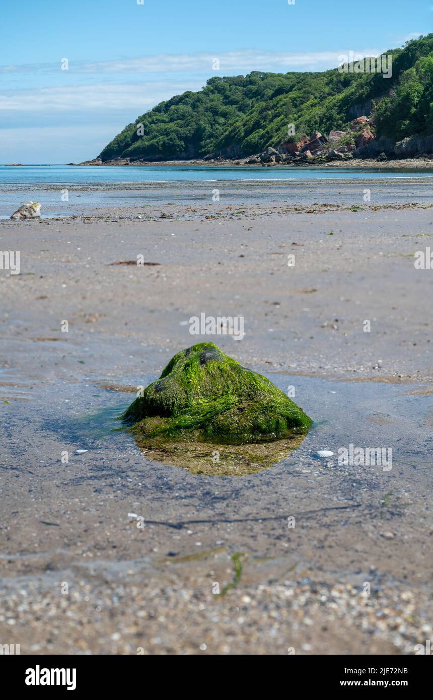 Oxwich Bay on the Gower peninsula in Swansea, UK Stock Photo - Alamy