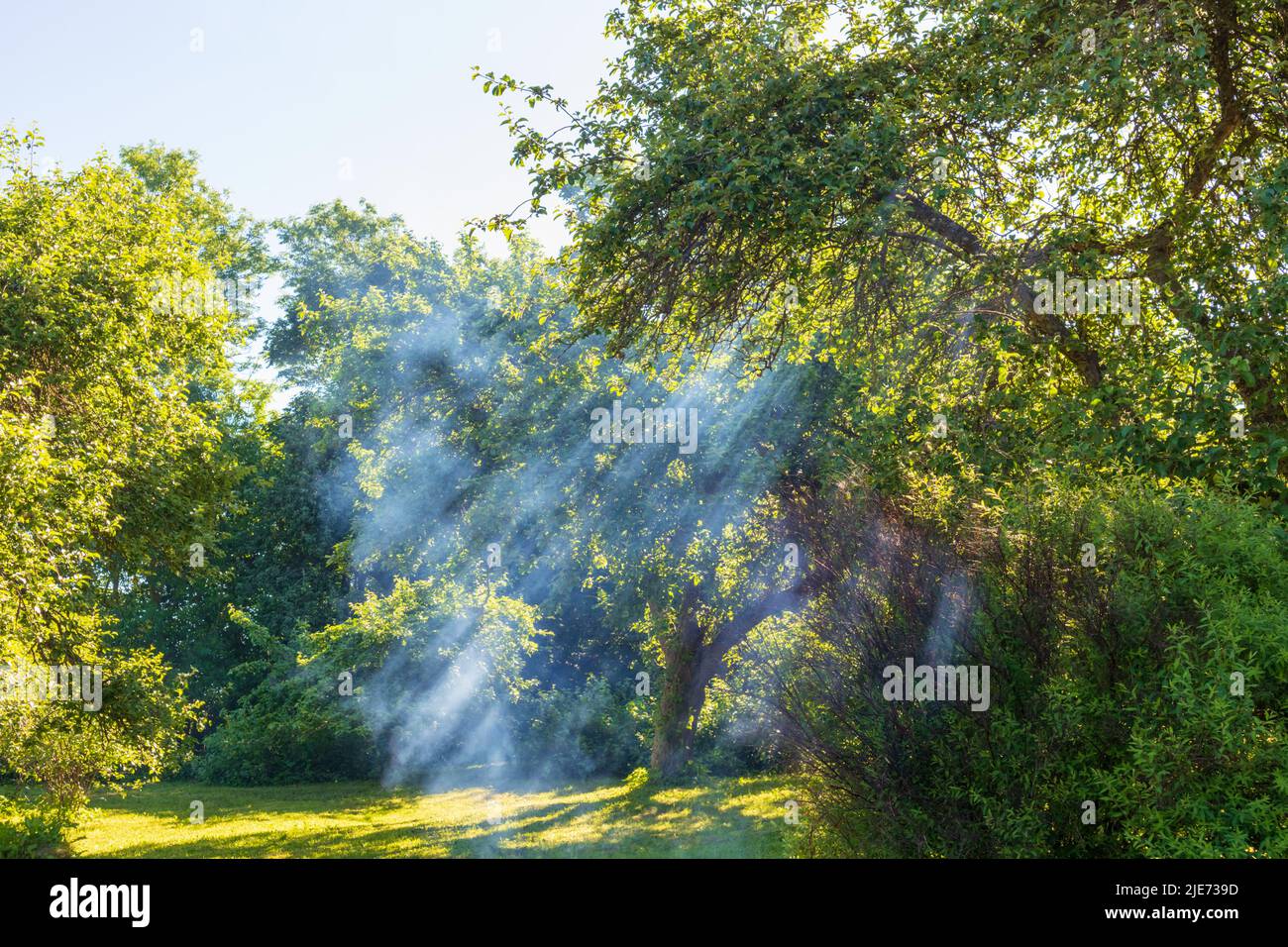 Rainbow colored hammock in a sunny, green park Stock Photo - Alamy
