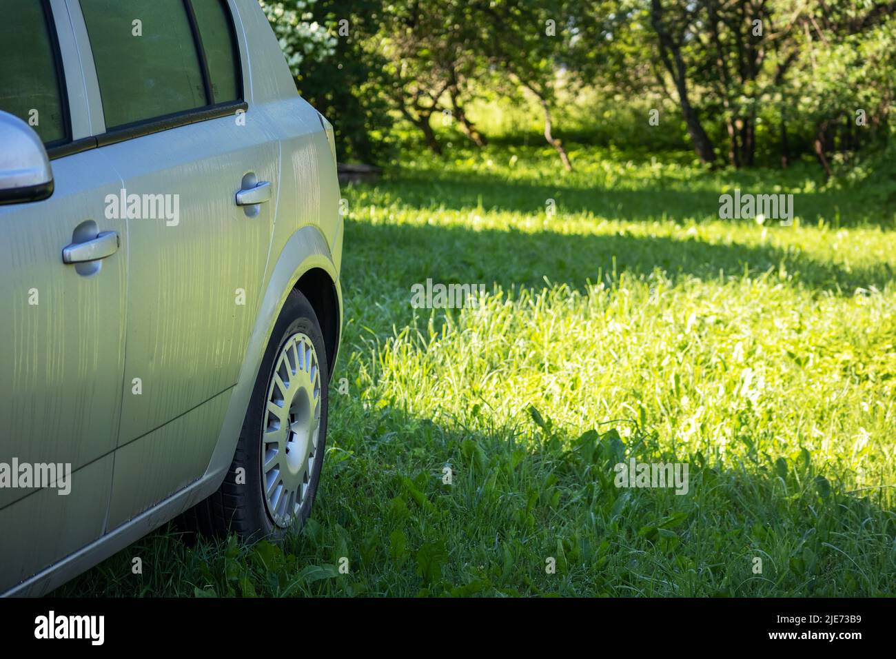 Half dry and half green tree hi-res stock photography and images - Alamy