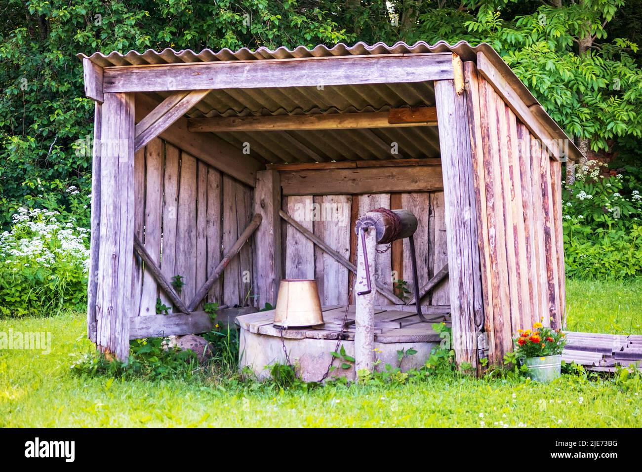 Well weathered tree hi-res stock photography and images - Alamy