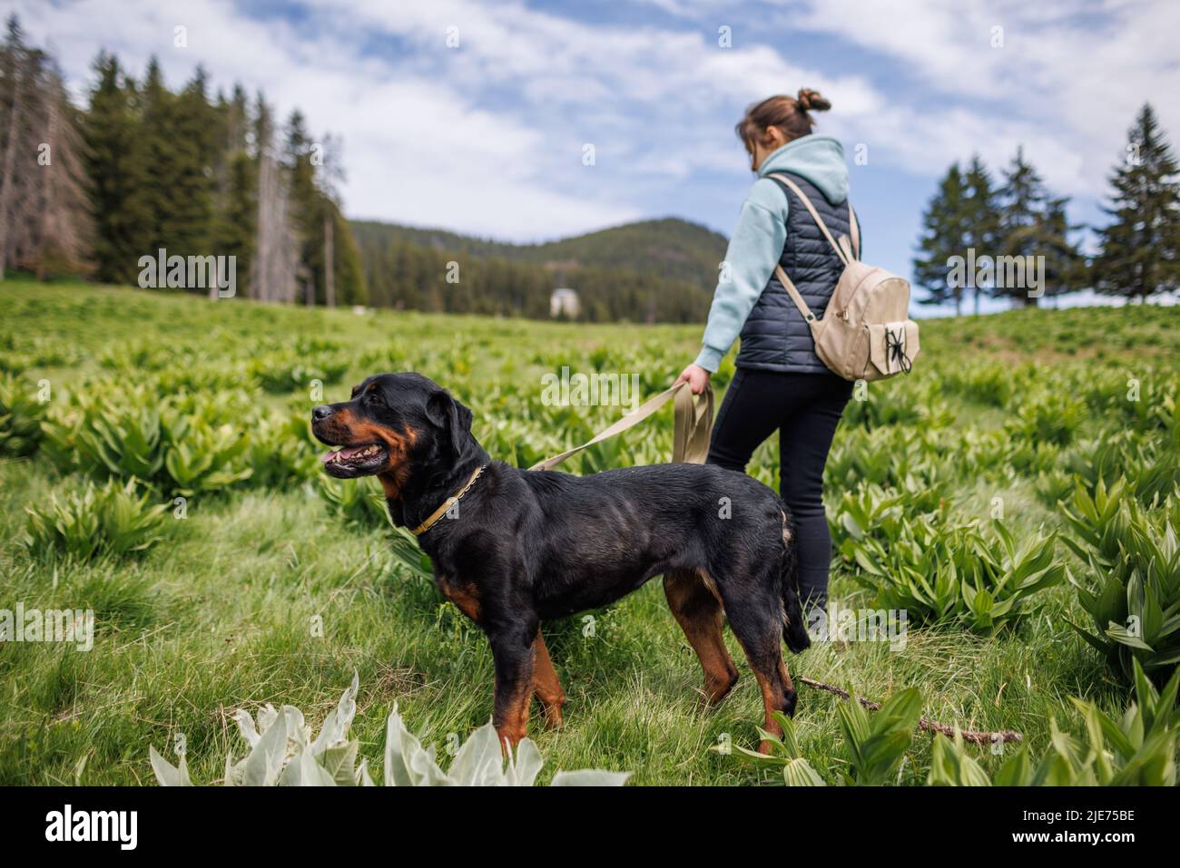 Cheerful teenage girl in turquoise suit walks with her obedient ...