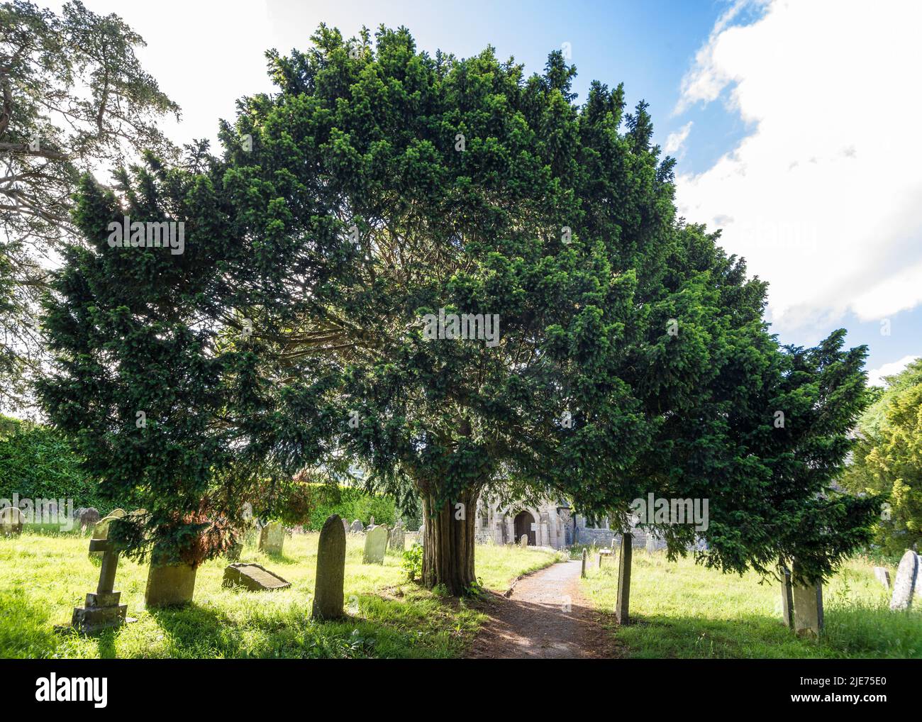 UK, England, Devonshire, Teign Valley, Christow. St. James' Church ...