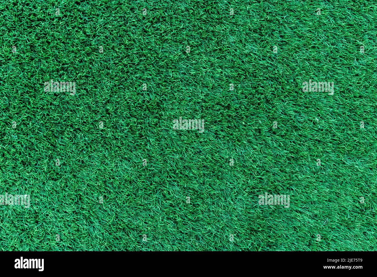 Overhead top view of green grass texture, yard, outdoor turf and grass ...
