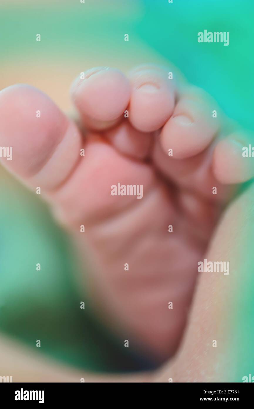 Close-up detail abstract macro view of cute baby small leg foot fingers ...