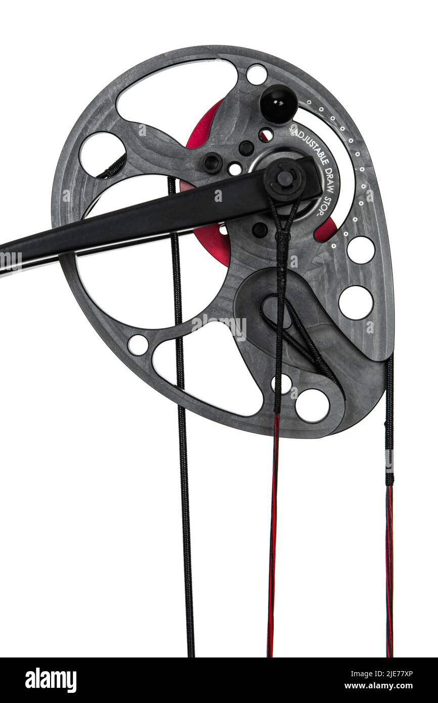 Modern, compound hunting bow. An ancient weapon with a modern twist ...