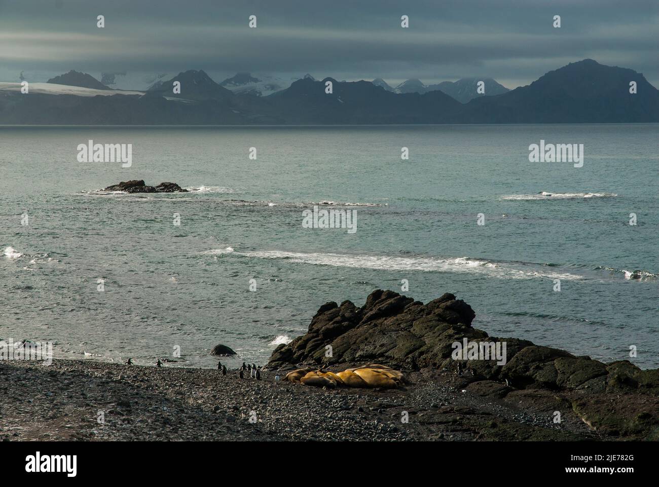 Ocean sunset landscape, Patagonia, Argentina Stock Photo - Alamy