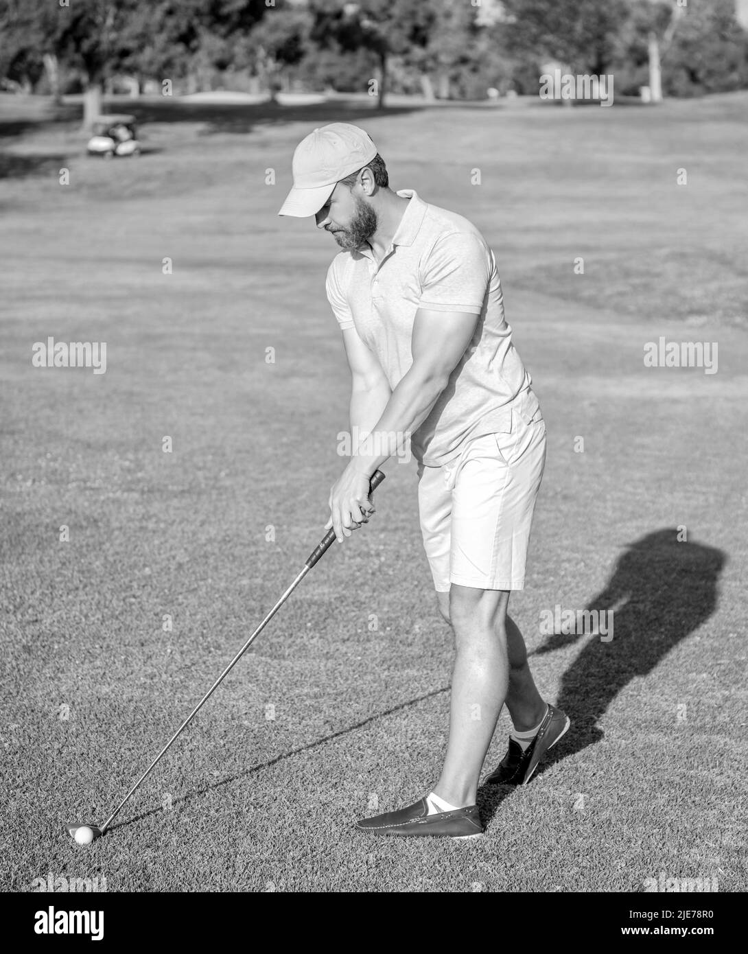 adult male golf player on professional course with green grass, golf ...