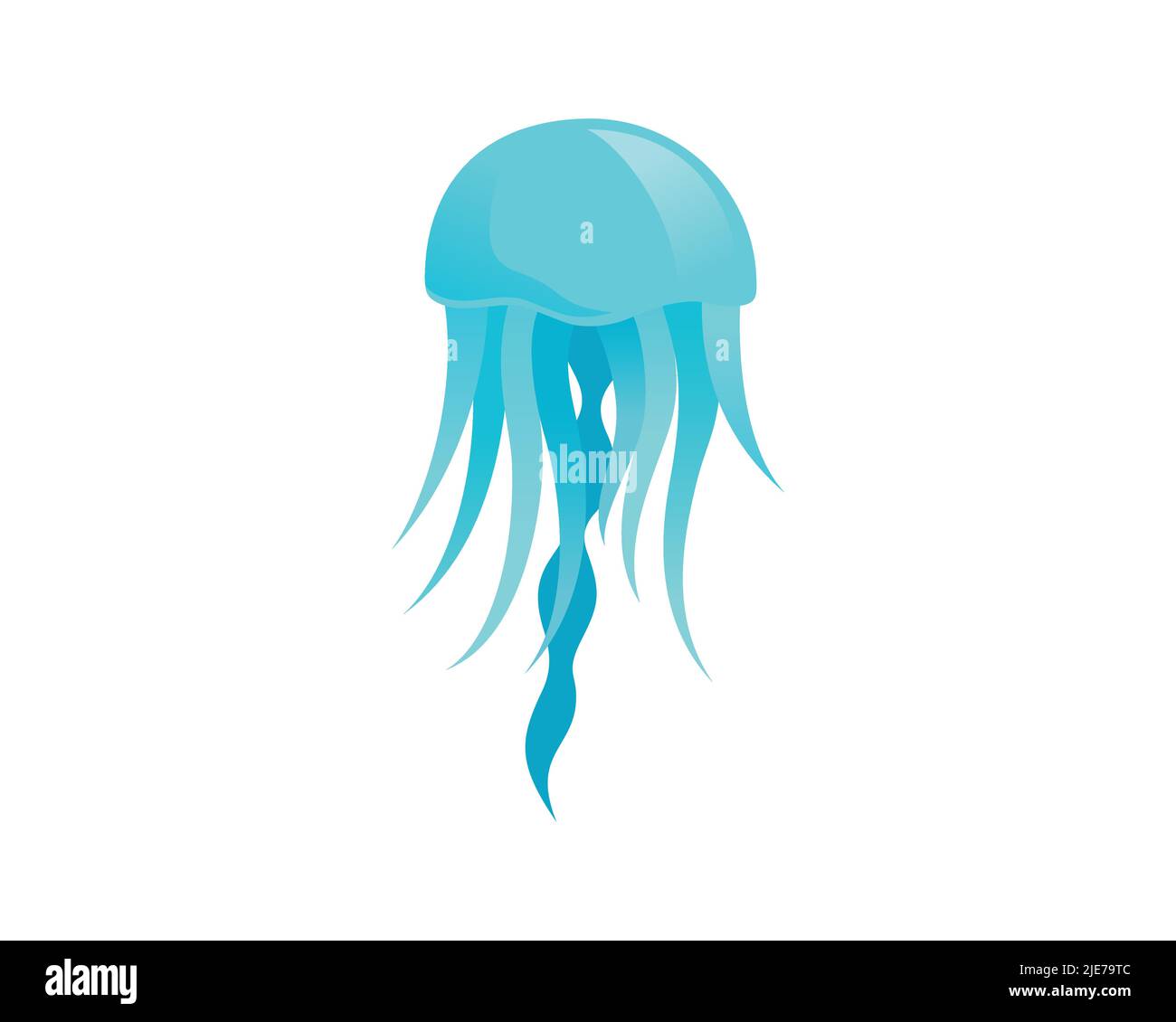 Deep Sea Rainbow Jellyfish