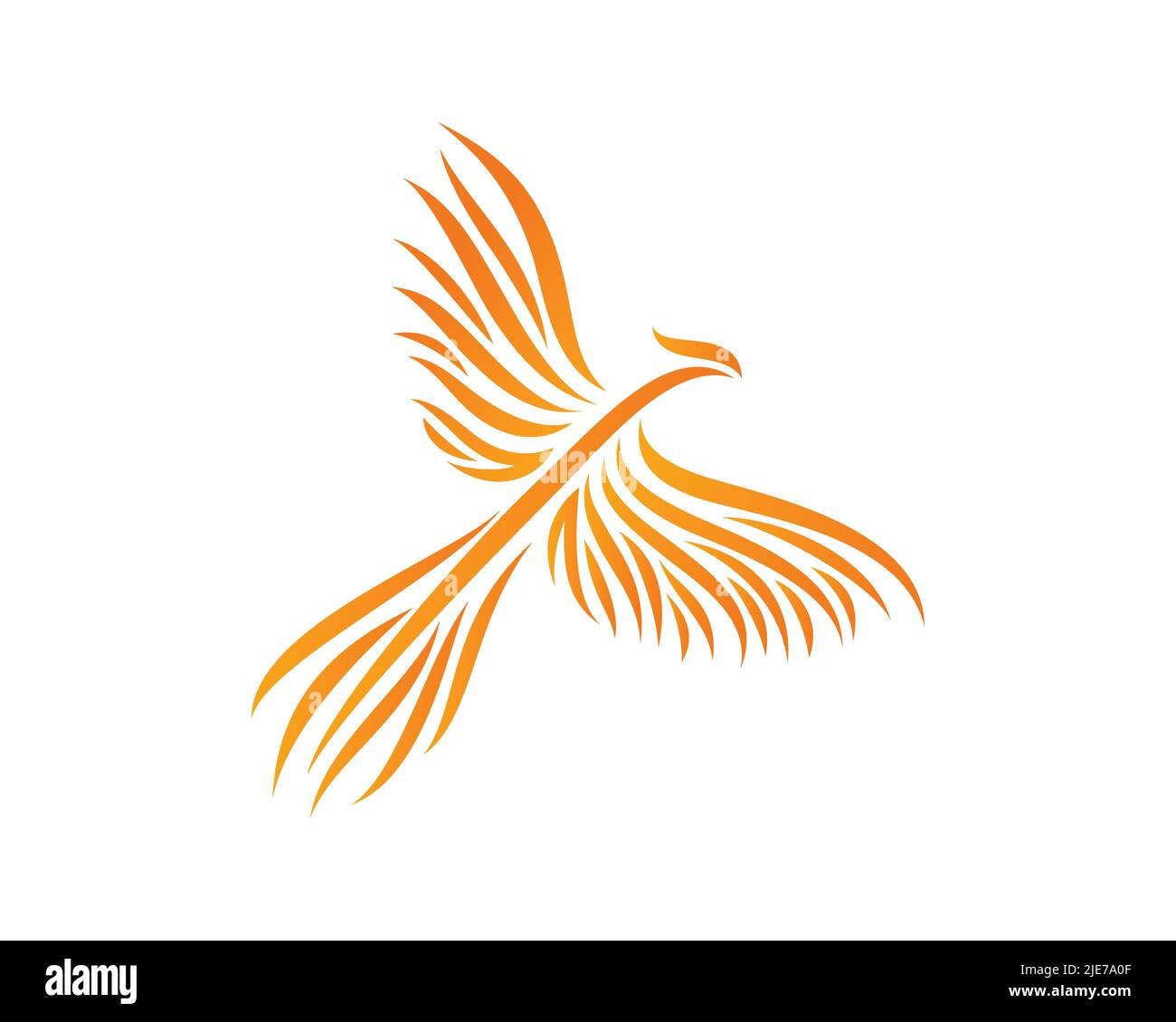 Creative and Bright Flying Phoenix Stock Vector Image & Art - Alamy