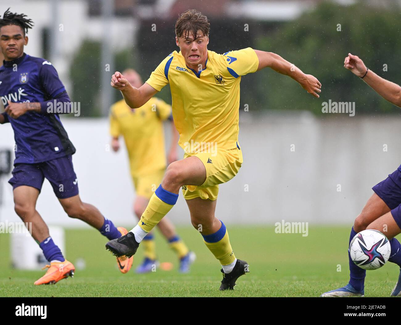 Rein van helden hi-res stock photography and images - Alamy