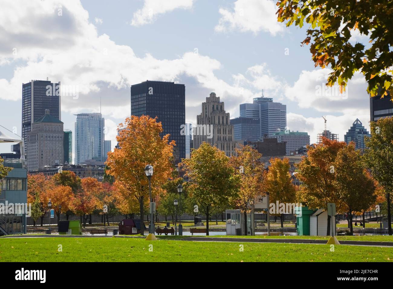 Downtown Montreal skyline through trees in autumn, Old Montreal, Quebec ...