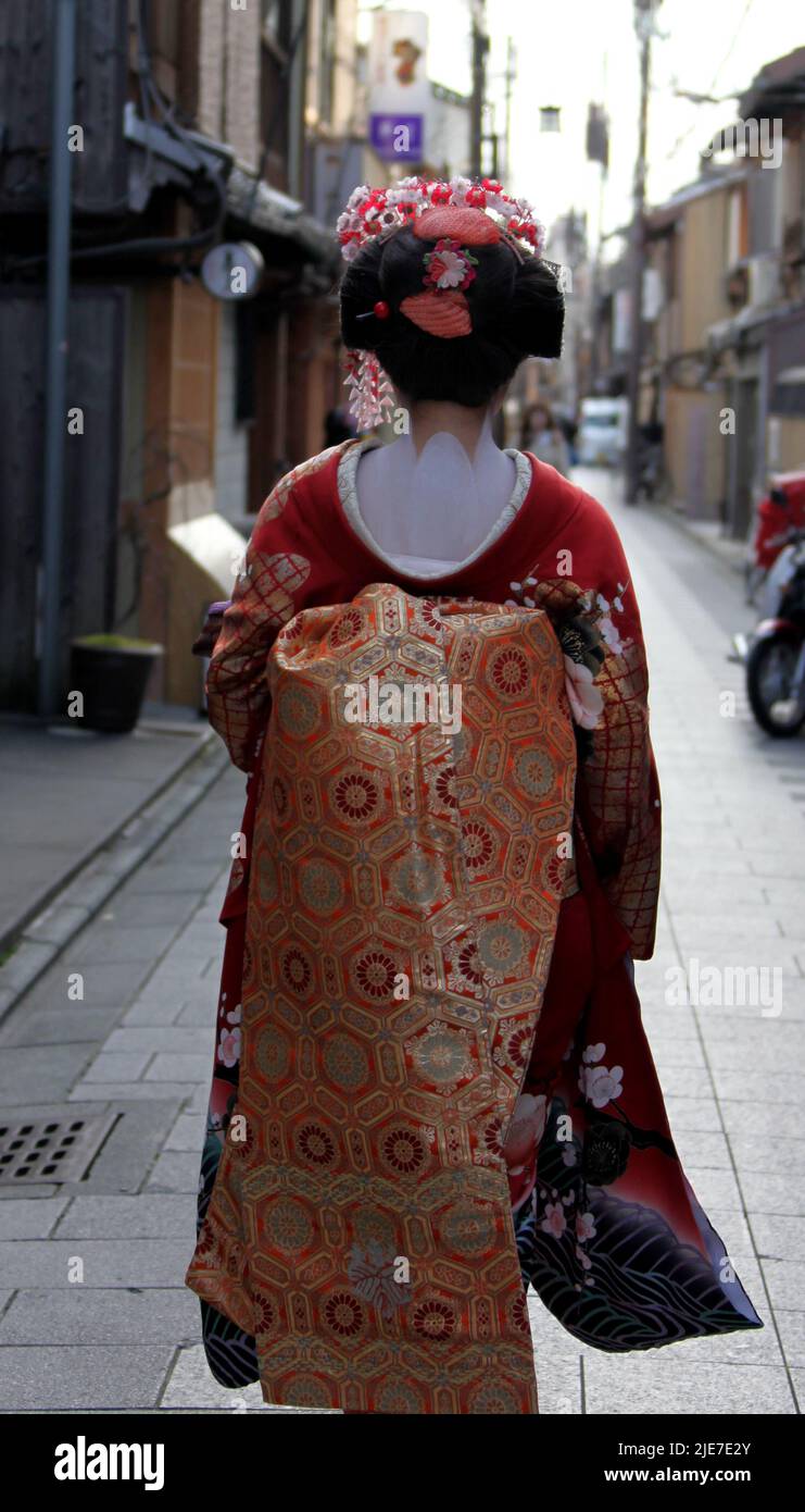 back side of a Lady dressed in traditional kimono (Maiko style) in the ...