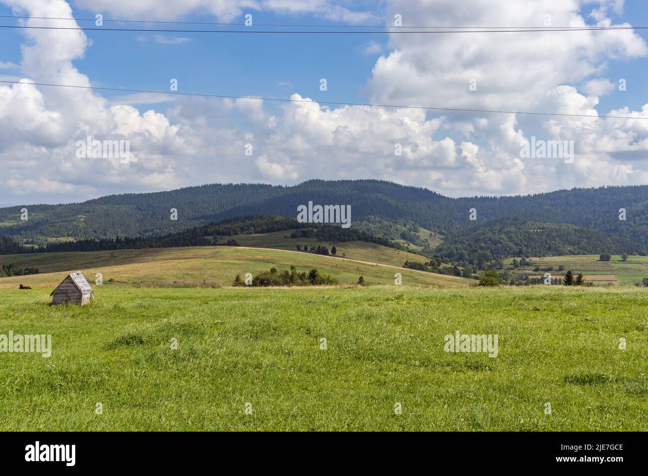 Mountain meadow in Carpathians. Countryside summertime landscape with valleys and grassy hills ...