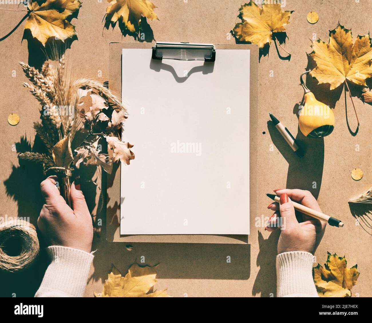 Autumn mockup, copy-space. Natural Fall leaves, wheat ears, small ...