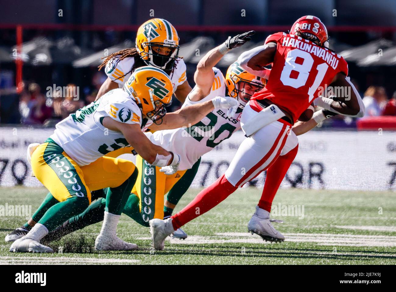 Edmonton Elks defensive back Scott Hutter, centre, grabs for Calgary ...