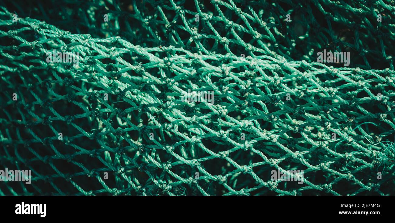 BANNER abstract close-up macro real photo beautiful wallpaper ...