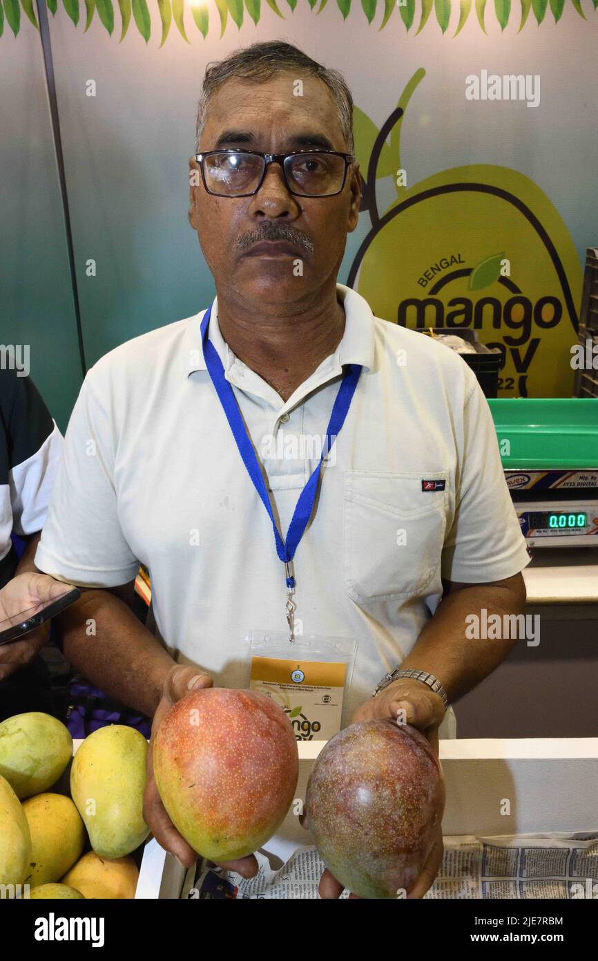 Indian mango varieties hi-res stock photography and images - Alamy