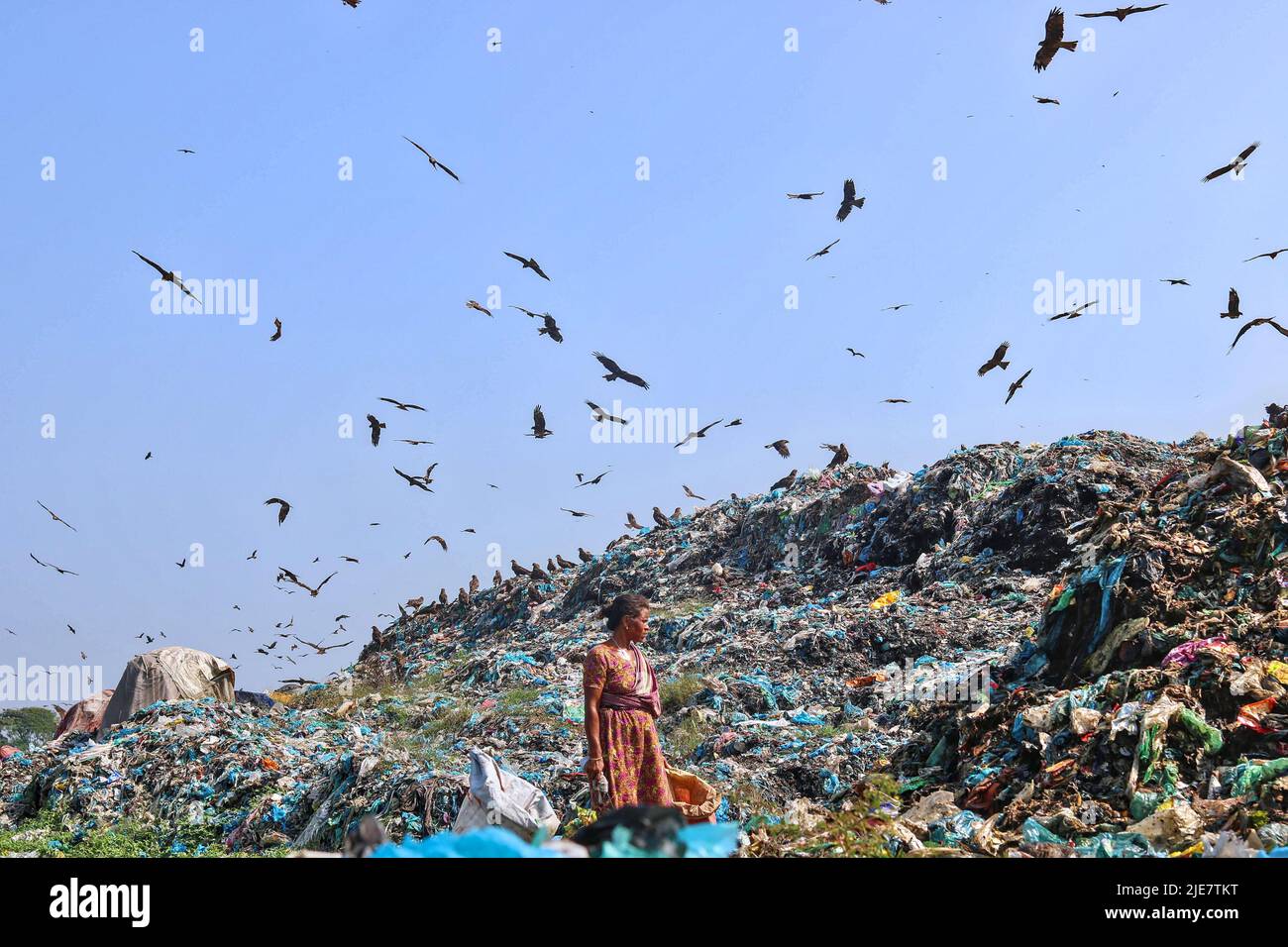 Human impact on the environment Stock Photo - Alamy