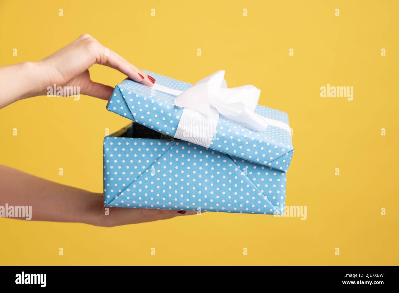 Profile side view closeup of woman hand holding and opening blue gift ...