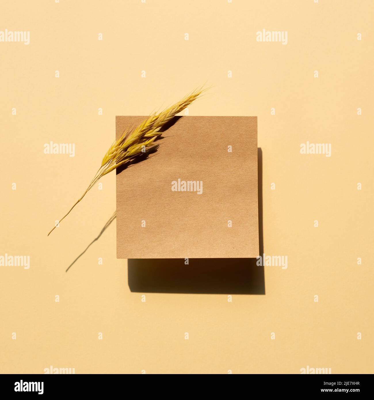 Beige note hi-res stock photography and images - Alamy