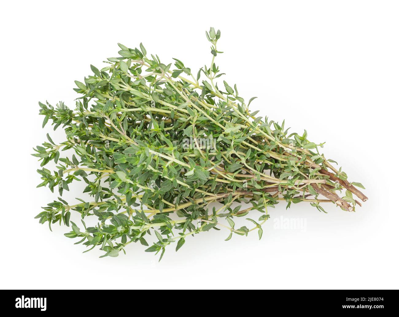 Fresh thyme isolated on white background Stock Photo - Alamy