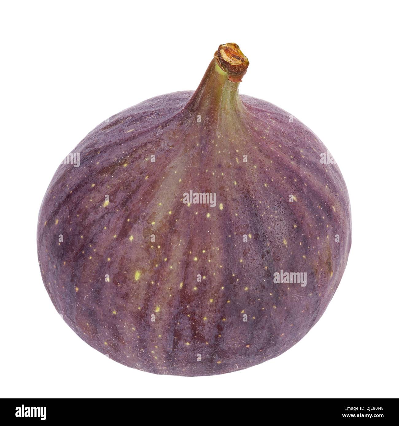 Fig isolated on white background. File contains clipping path Stock ...