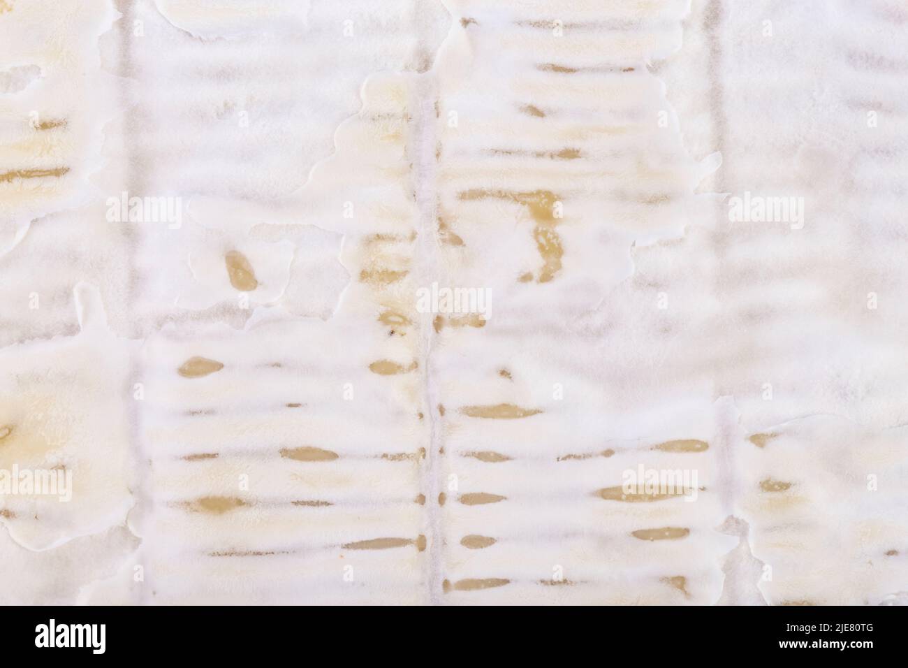 Detail of the cheese camembert or brie close up texture Stock Photo - Alamy