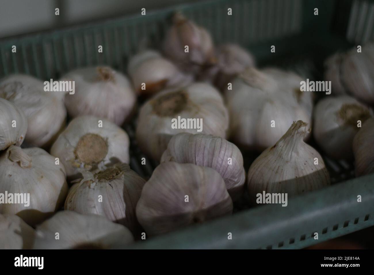 Garlic in a kitchen Stock Photo - Alamy