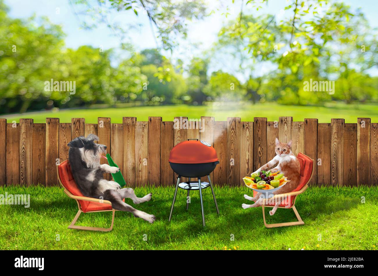 funny cat and dog relaxing at backyard and having picnic with bbq Stock ...