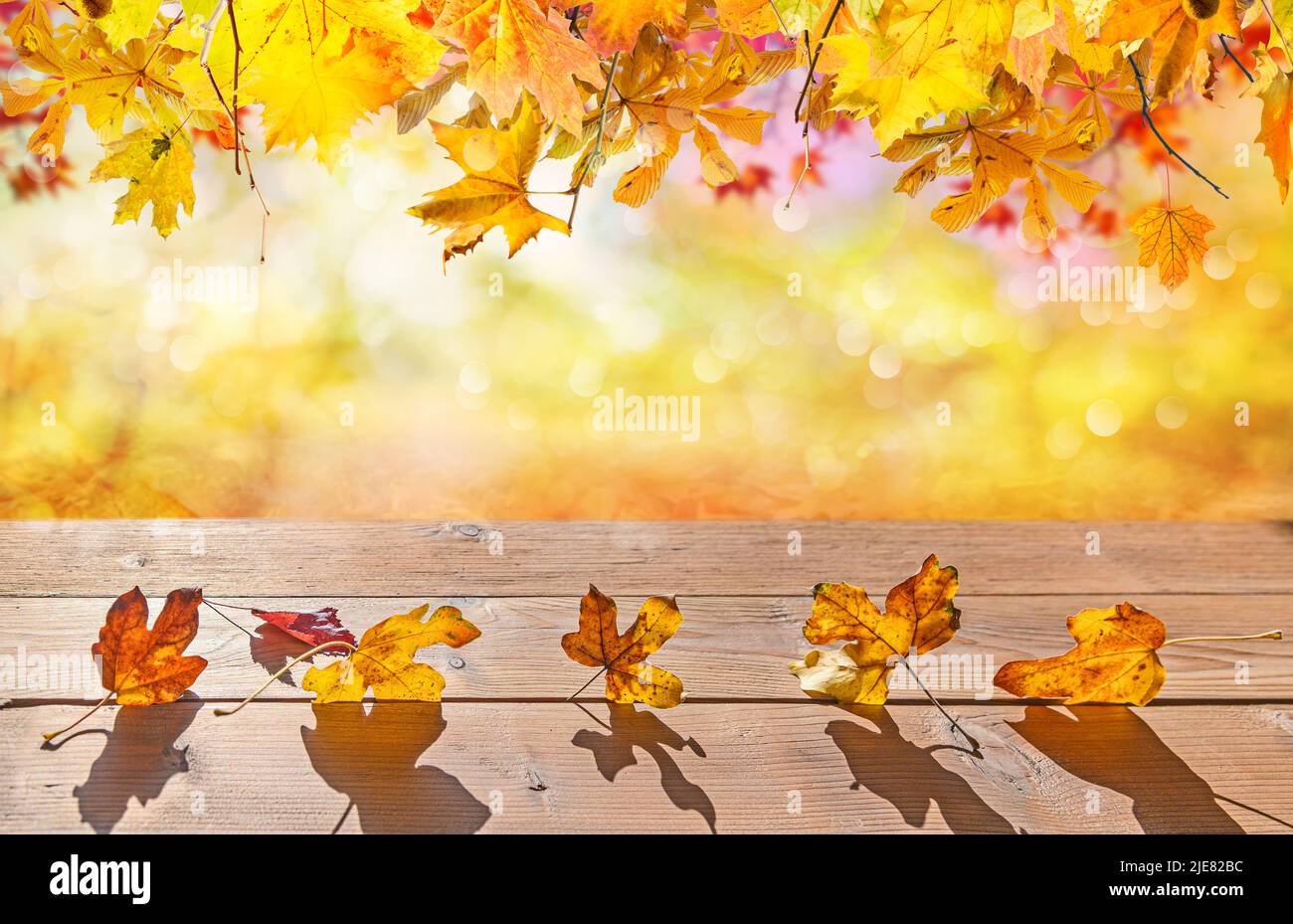 orange fall leaves on wooden floor, autumn natural background with ...