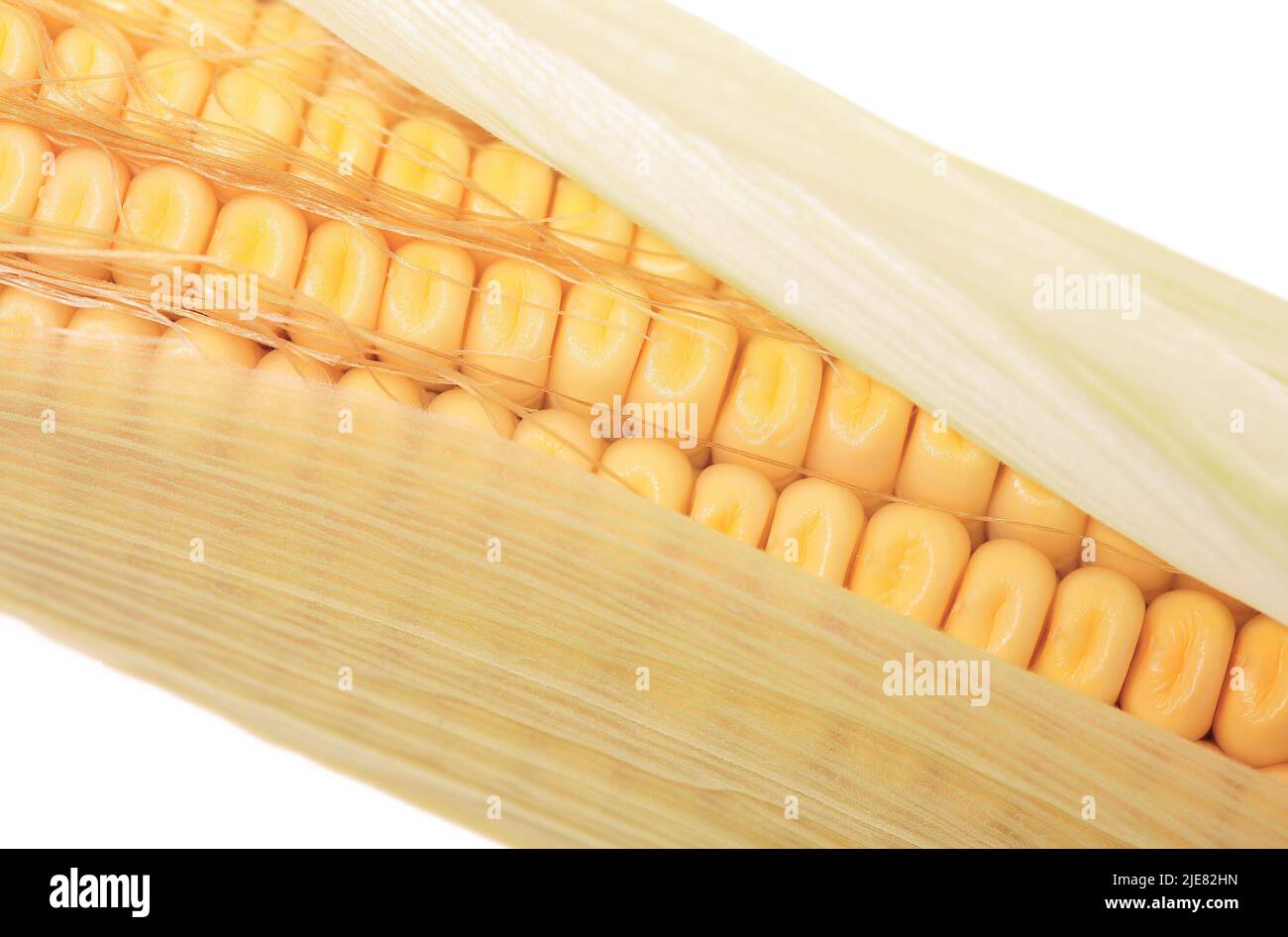Ear of maize. Close up photography Stock Photo - Alamy