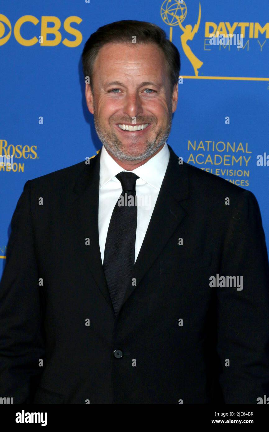 LOS ANGELES - JUN 24: Chris Harrison at the 49th Daytime Emmys Awards ...