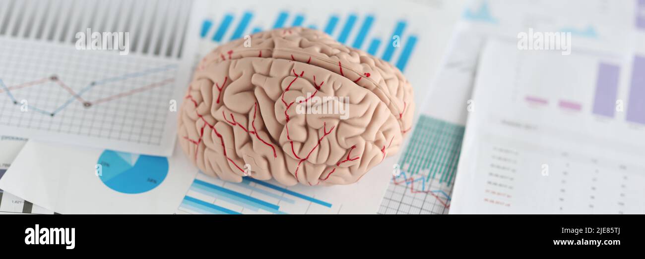 Artificial model of human brain lying on documents with graphs closeup ...