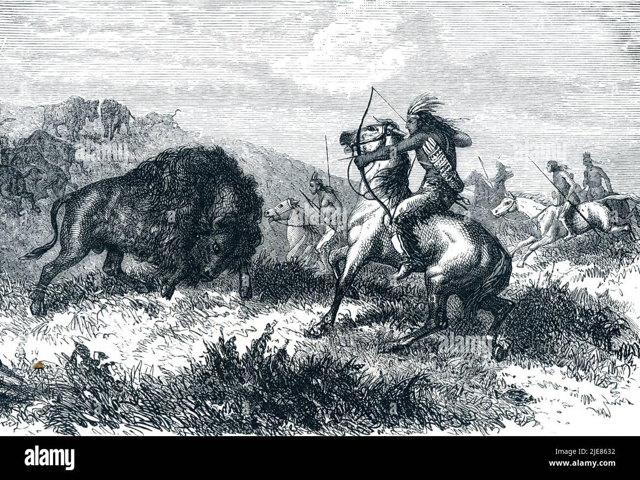Native American Indigenous people hunting buffalo Stock Photo - Alamy