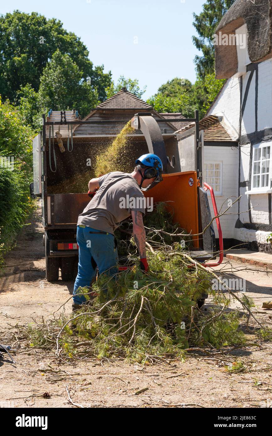 Hampshire, England, UK. 2022. Man using a large shredding machine to ...