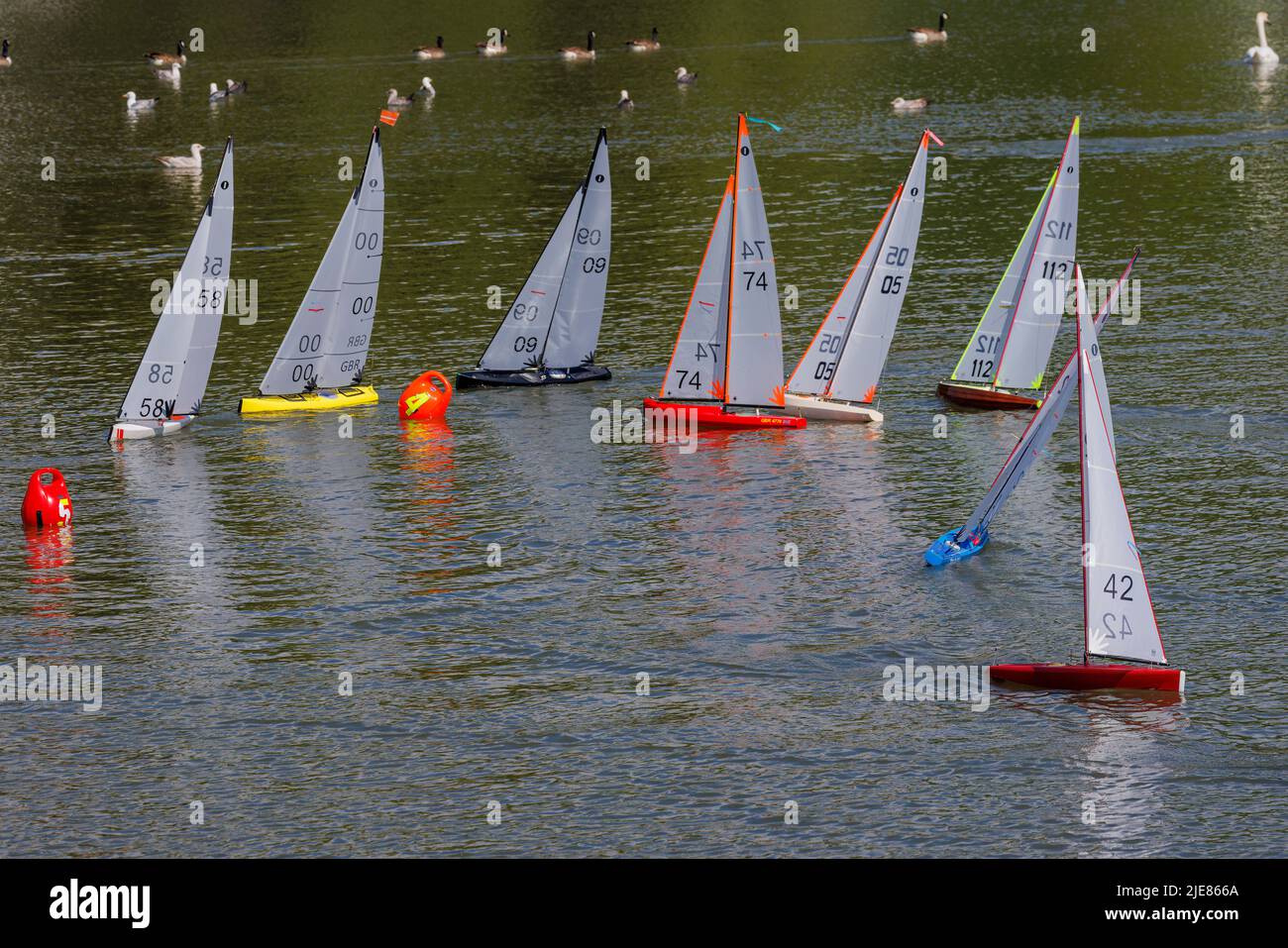 Sailing on Portishead lake Stock Photo - Alamy